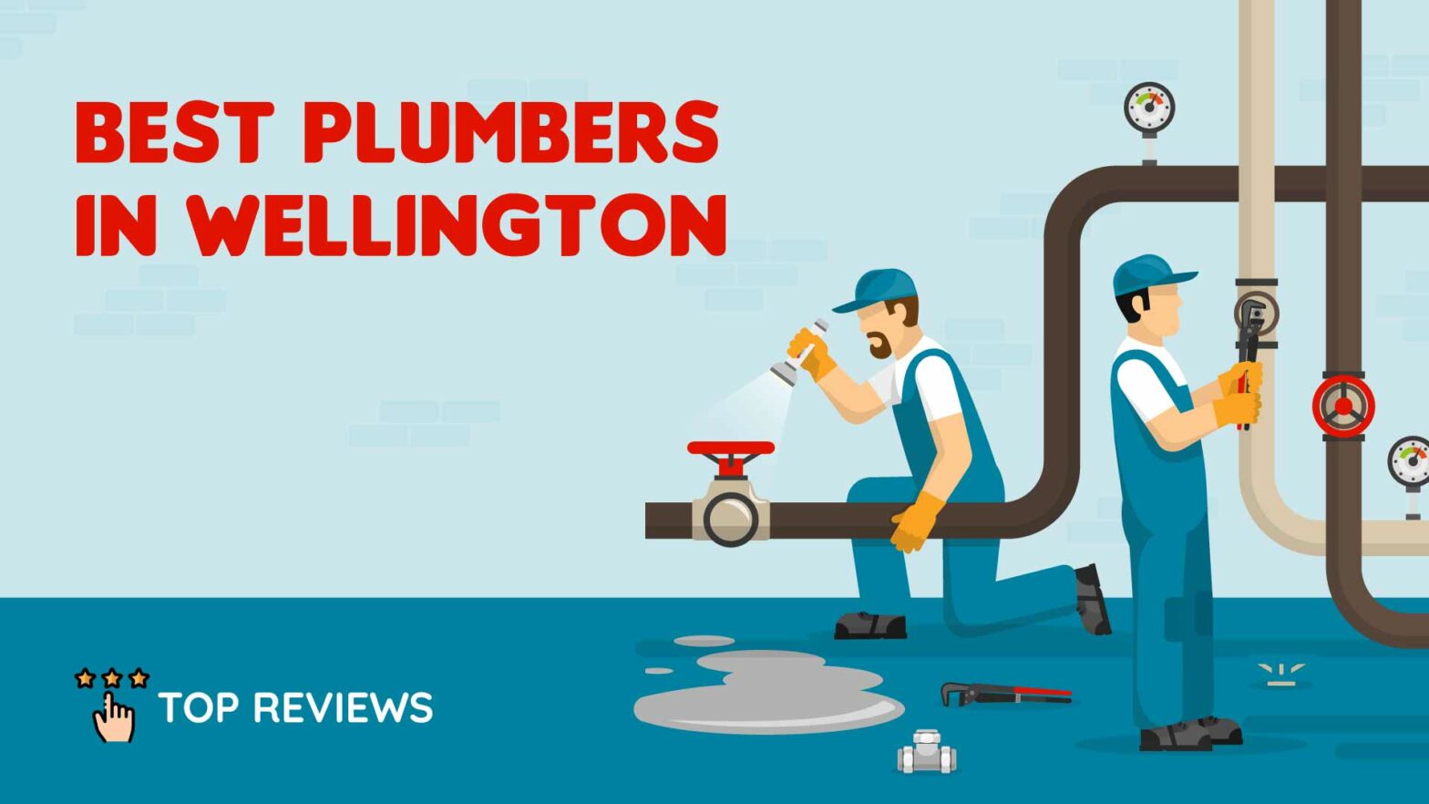 The 8 Absolute Best Plumbers in Wellington [2026 ]