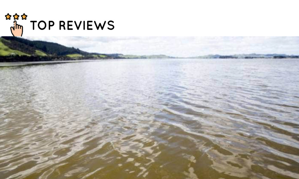 A Deep Dive into New Zealand’s Most Polluted River [2026]