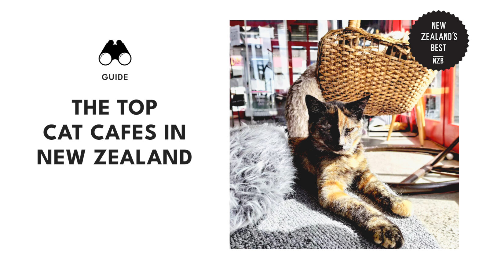 Forget therapy, hit these 6 cat cafes in NZ instead!